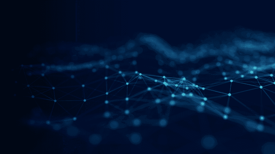 Dijital Güvenlik | Procenne